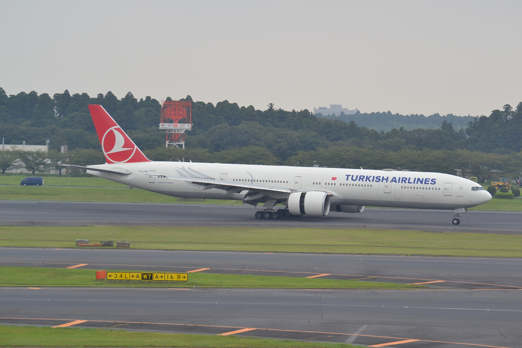 THY B773 at Istanbul on Jul 30th 2019, flock of birds - AeroInside